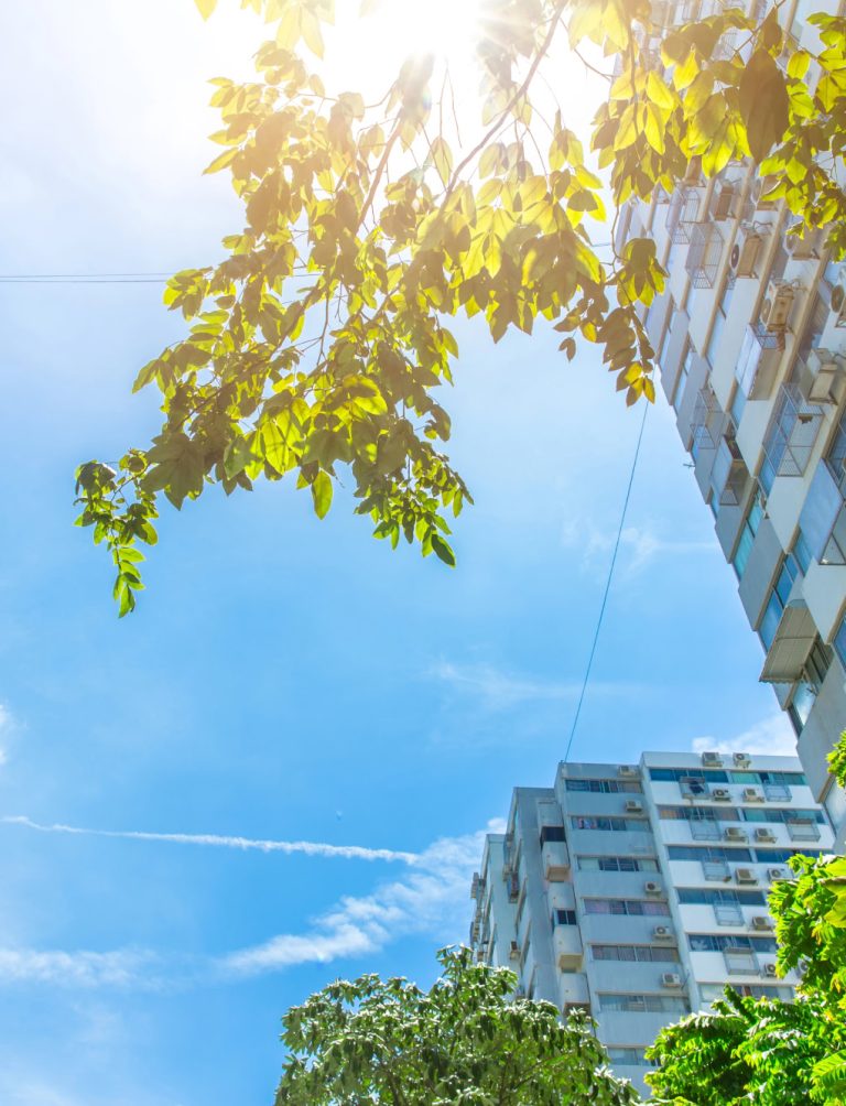 Green Star Accredited Professionals | Green Star Certification