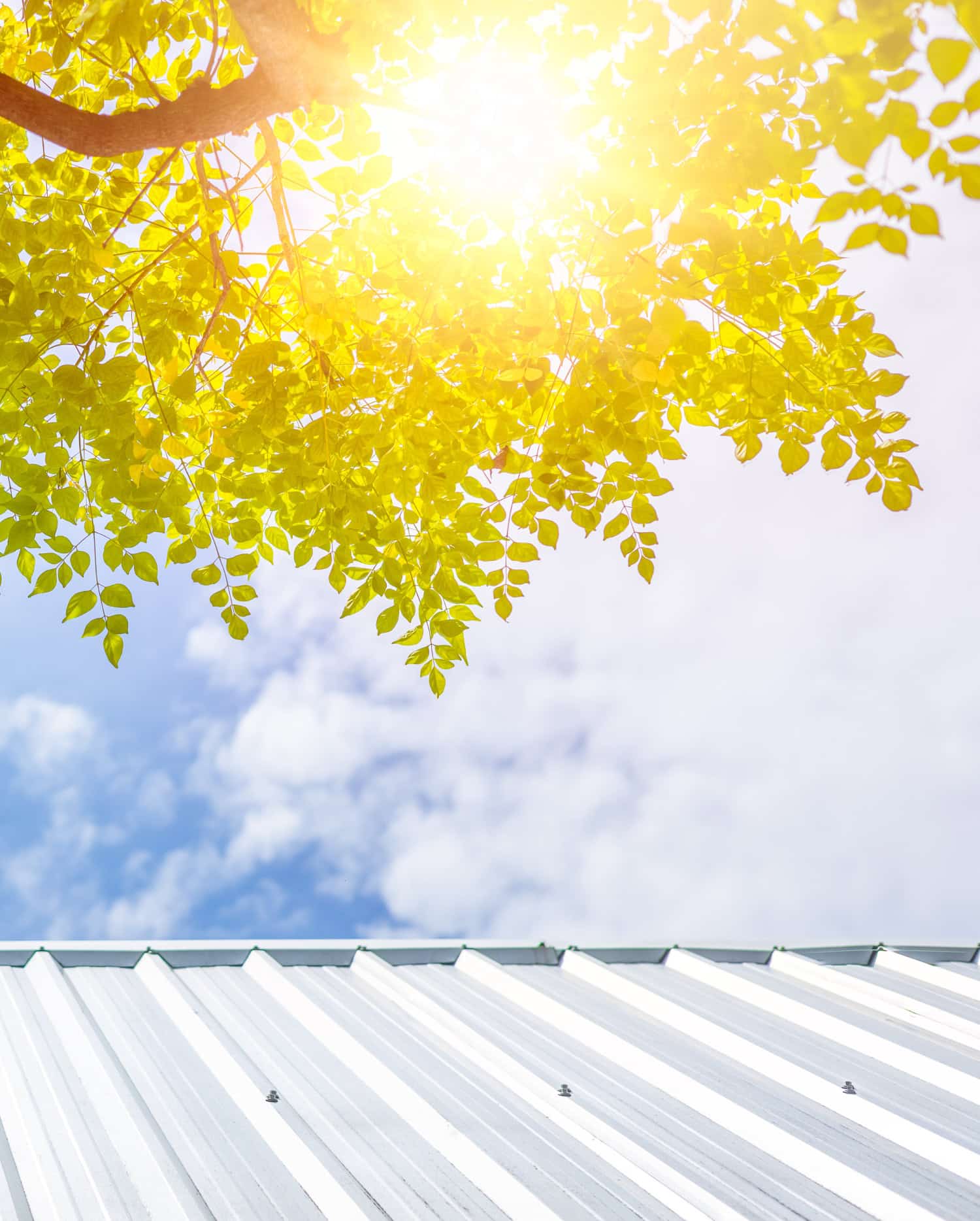 NatHERS Climate Zones - Green Choice Consulting